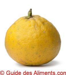 Bergamote (fruit) - Guide des Aliments