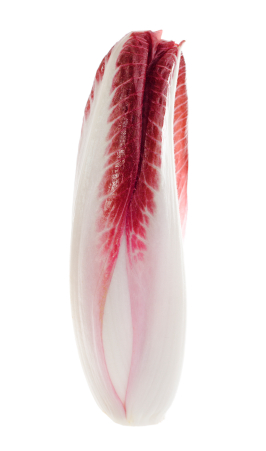 Endive rouge - Guide des Aliments