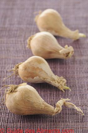 Echalote grise - Guide des Aliments