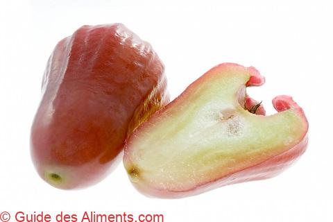 Jamalac - Guide des Aliments