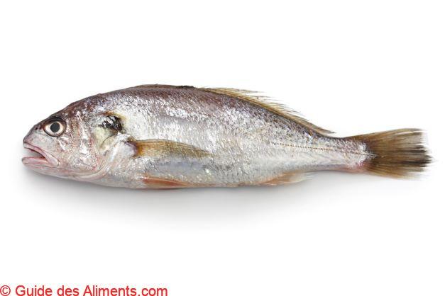 Croaker - Guide des Aliments