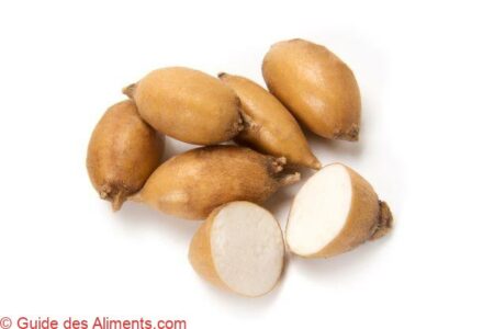Apios americana - Guide des Aliments