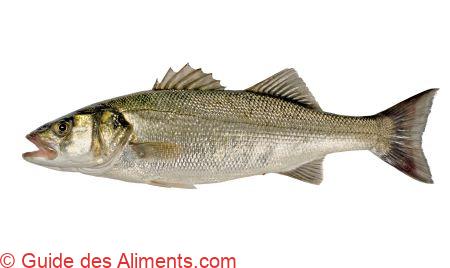 Bar commun - Guide des Aliments