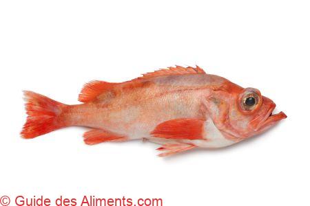Sébaste orangé, Sébaste doré, Sébaste atlantique - Guide des Aliments