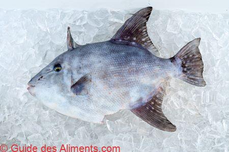 Baliste commun - Guide des Aliments