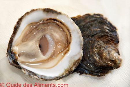 Huître plate de Belon - Guide des Aliments