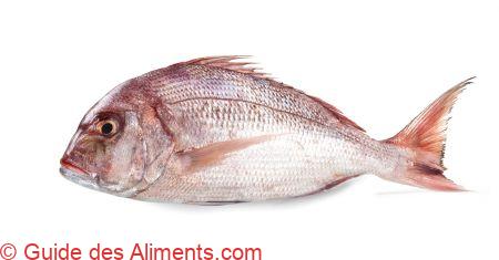 Pagre commun - Guide des Aliments