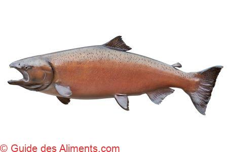 Saumon royal - Guide des Aliments