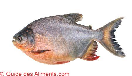 Pacu d'Amazonie - Guide des Aliments