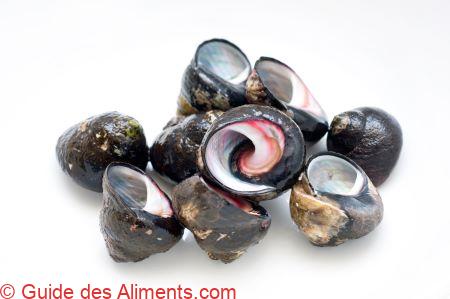 Bigorneau vrai - Guide des Aliments