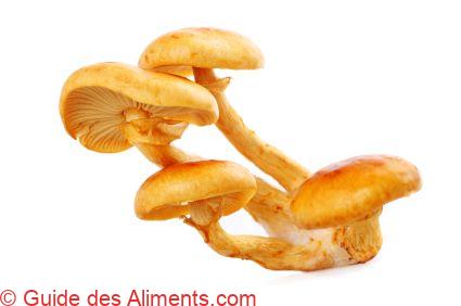 Nameko - Guide des Aliments