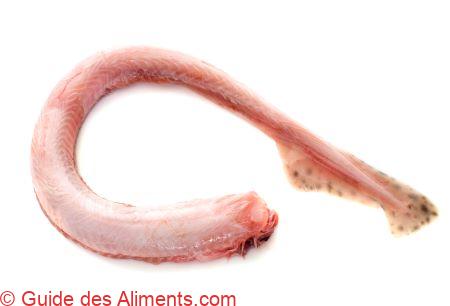 Grande roussette - Guide des Aliments