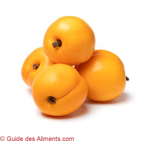 Nectacot - Guide des Aliments