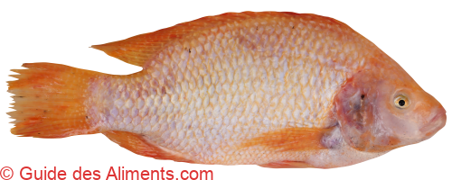 Rubyfish - Guide des Aliments