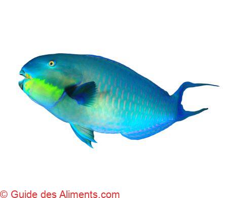 Poisson-perroquet - Guide des Aliments