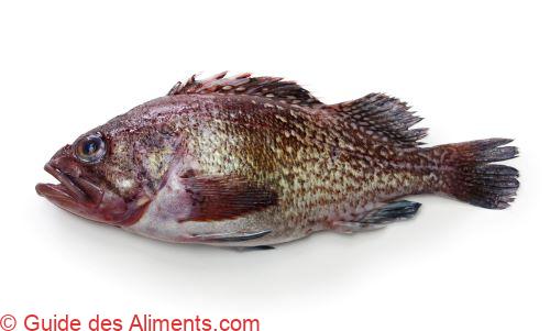 Sébaste vulpes - Guide des Aliments